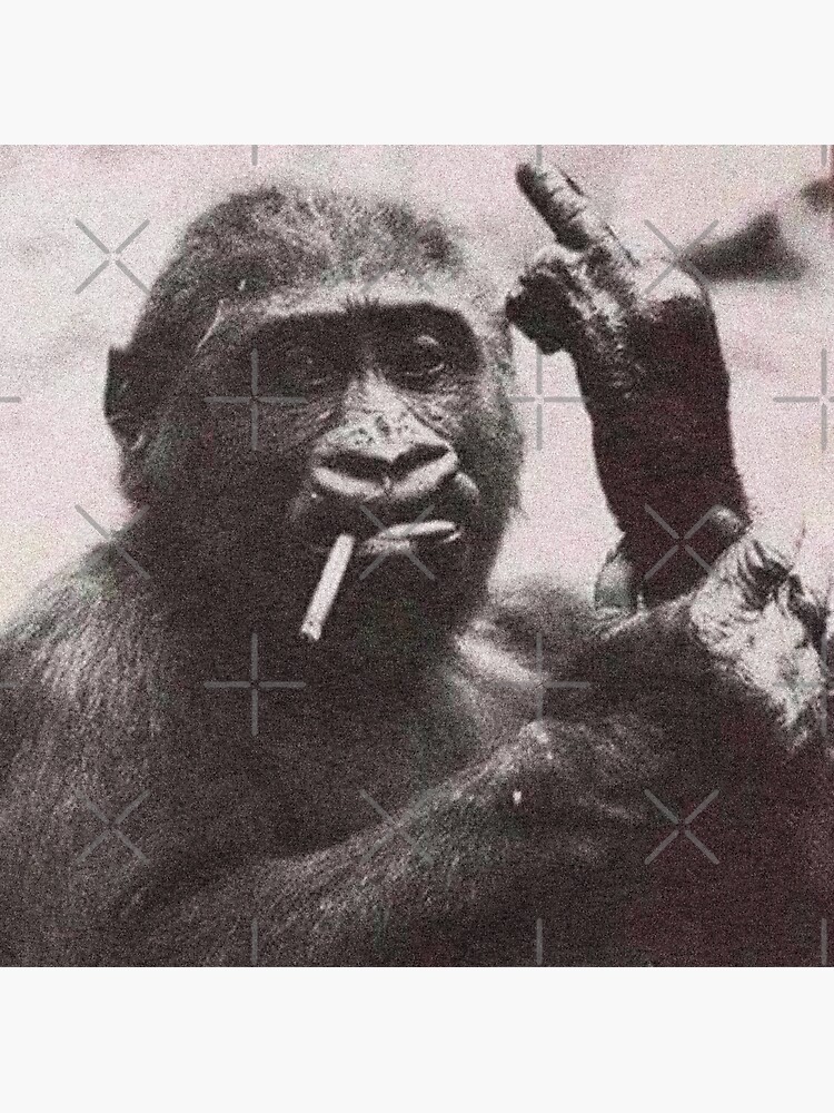 "Monkey Smokin Middle Finger" Sticker for Sale by designskull | Redbubble