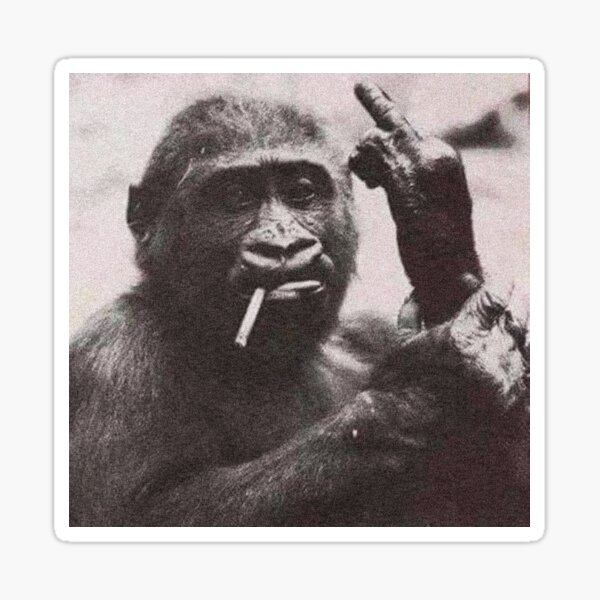"Monkey Smokin Middle Finger" Sticker for Sale by designskull | Redbubble