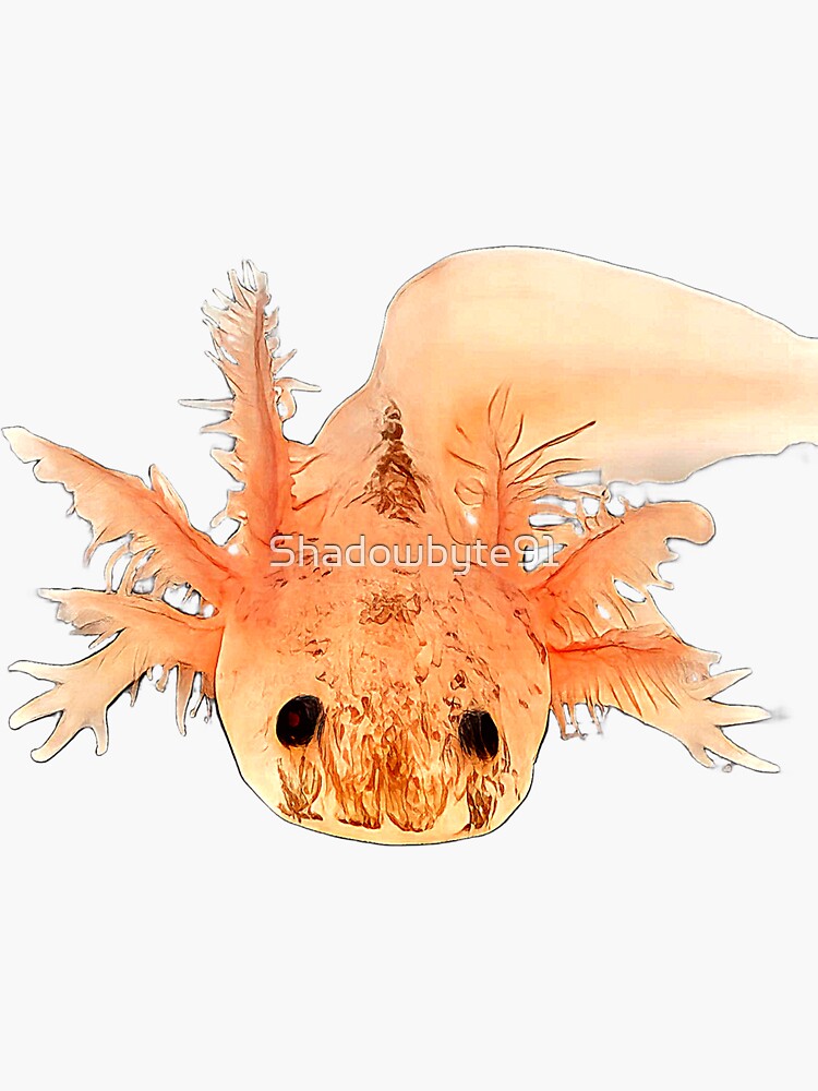 "Realistic axolotl motif" Sticker for Sale by Shadowbyte91 | Redbubble