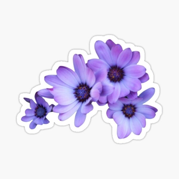 "Purple Flowers" Sticker for Sale by hannahgott | Redbubble