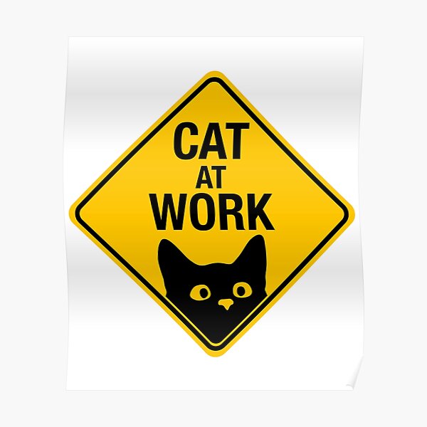 "Curious Cat at Work - Cat Sign" Poster for Sale by LongTunnel | Redbubble