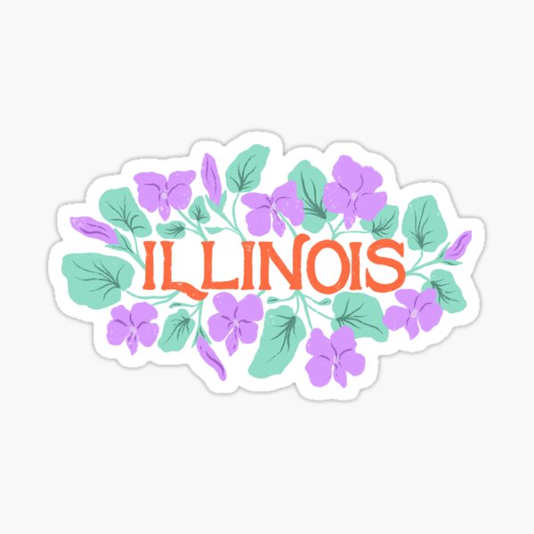 "Illinois with State Flower | Artist Designed Illustration Featuring ...