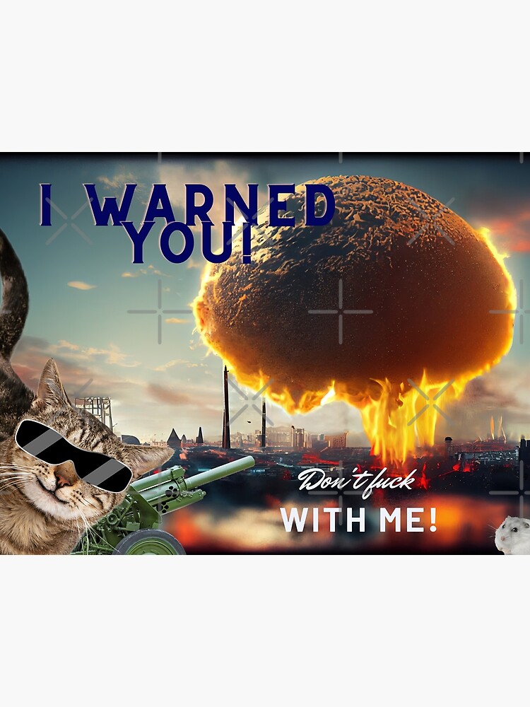 Póster «Angry Cat: 14 señales de que tu gato está enojado contigo ...