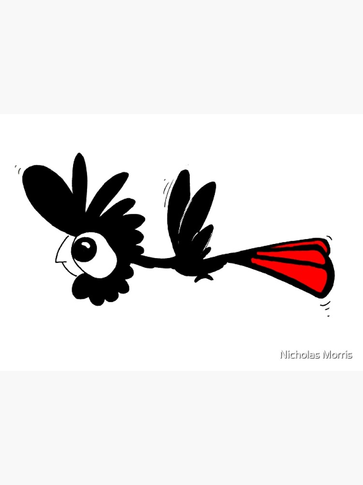 Red Tailed Black Cockatoo Poster For Sale By Grassquit Redbubble