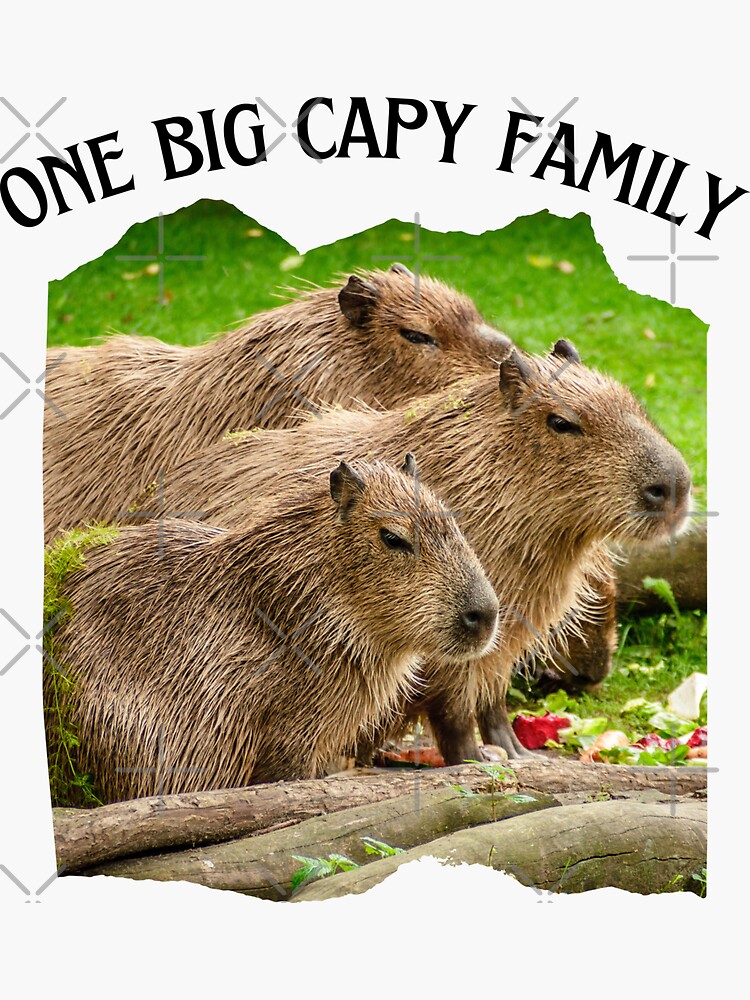 "One Big Capy Family - capybara - capy - happy - dont worry - cute ...