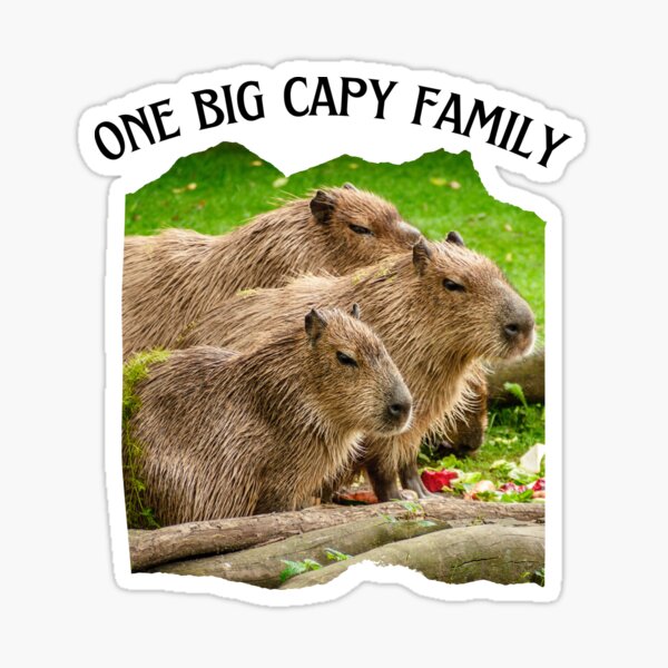 "One Big Capy Family - capybara - capy - happy - dont worry - cute ...