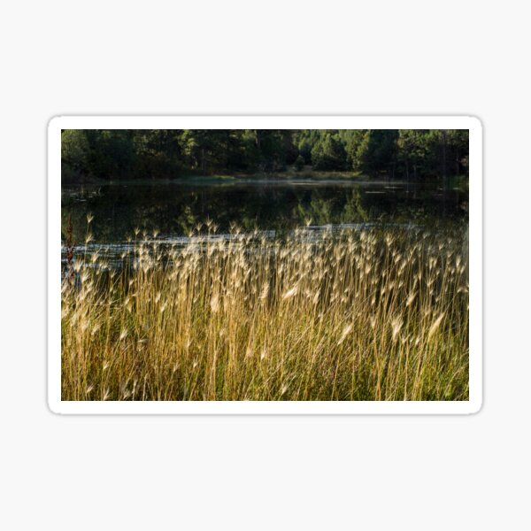 "Edge Of The Pond" Sticker for Sale by garybenson | Redbubble