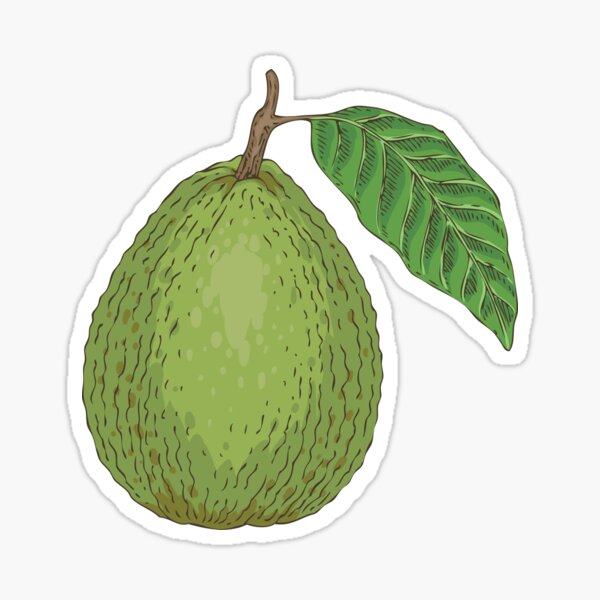 Guava Stickers | Redbubble