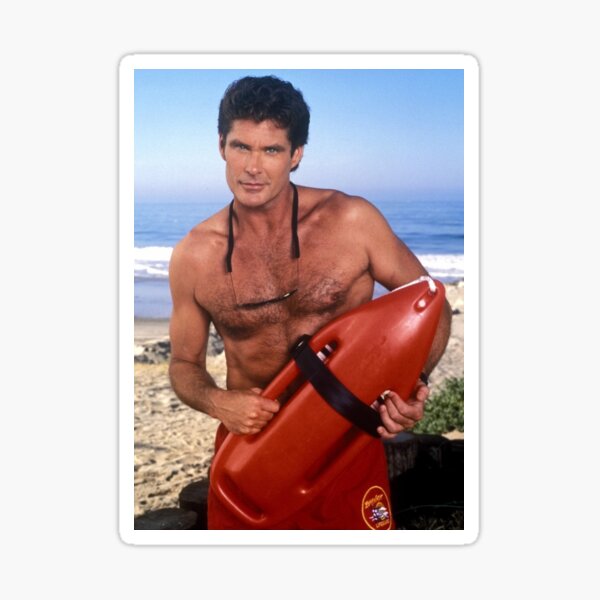 David Hasselhoff Stickers | Redbubble