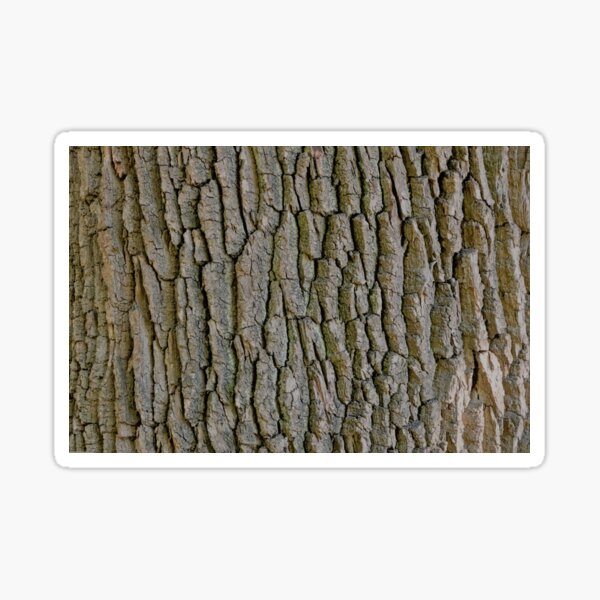 "Tree Bark" Sticker for Sale by CoolDesign2000 | Redbubble