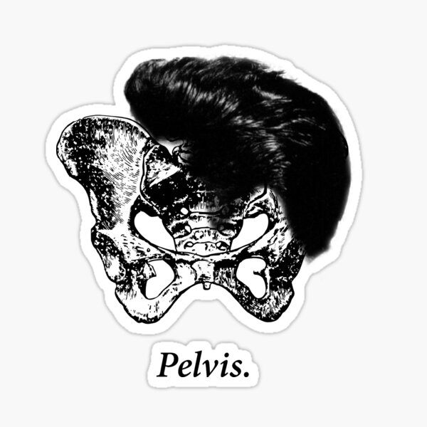 "Pelvis Elvis" Sticker for Sale by BestQuest | Redbubble