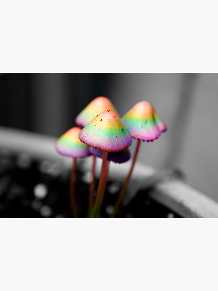 Rainbow Mushroom Poster For Sale By Kellietinyworld Redbubble