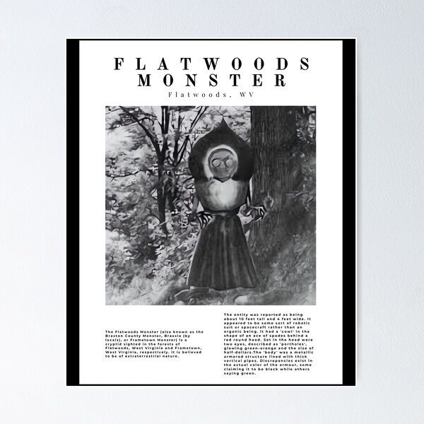 "Minimalist Cryptids Flatwoods Monster " Poster for Sale by joxjuenter ...