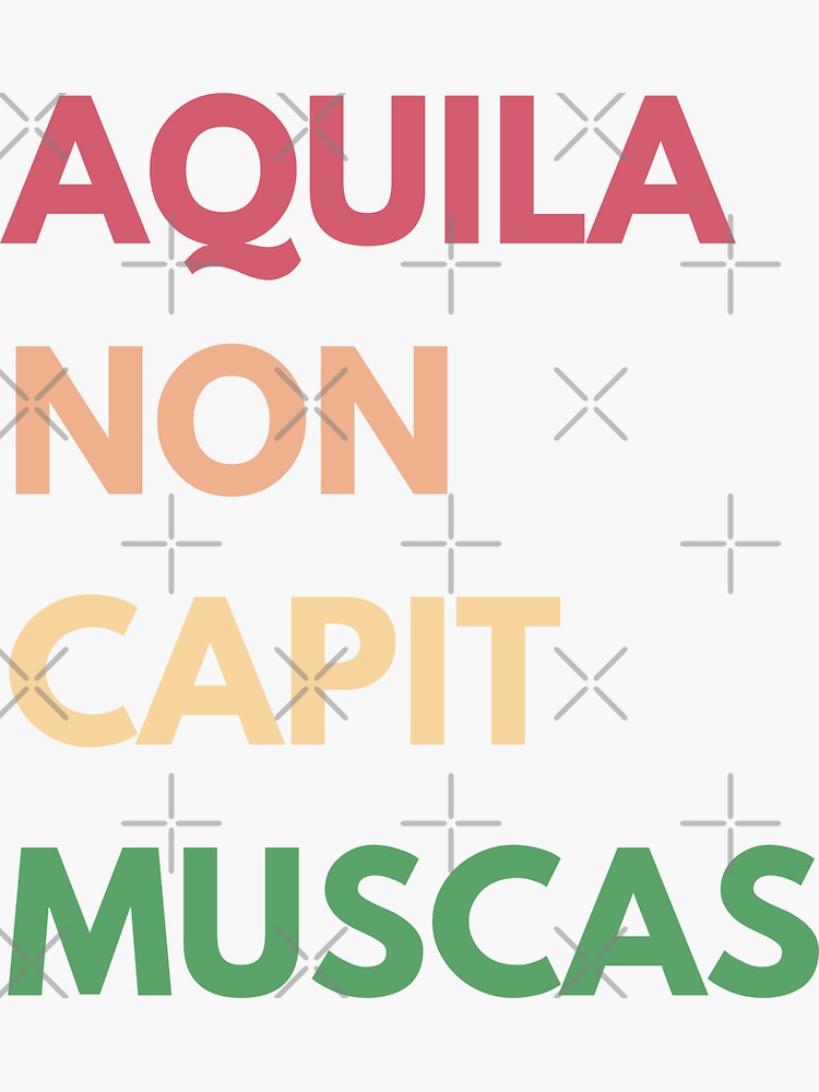 "Aquila non capit muscas" Sticker for Sale by VividArtDsgn | Redbubble