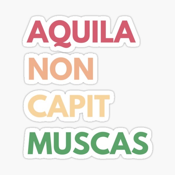 "Aquila non capit muscas" Sticker for Sale by VividArtDsgn | Redbubble