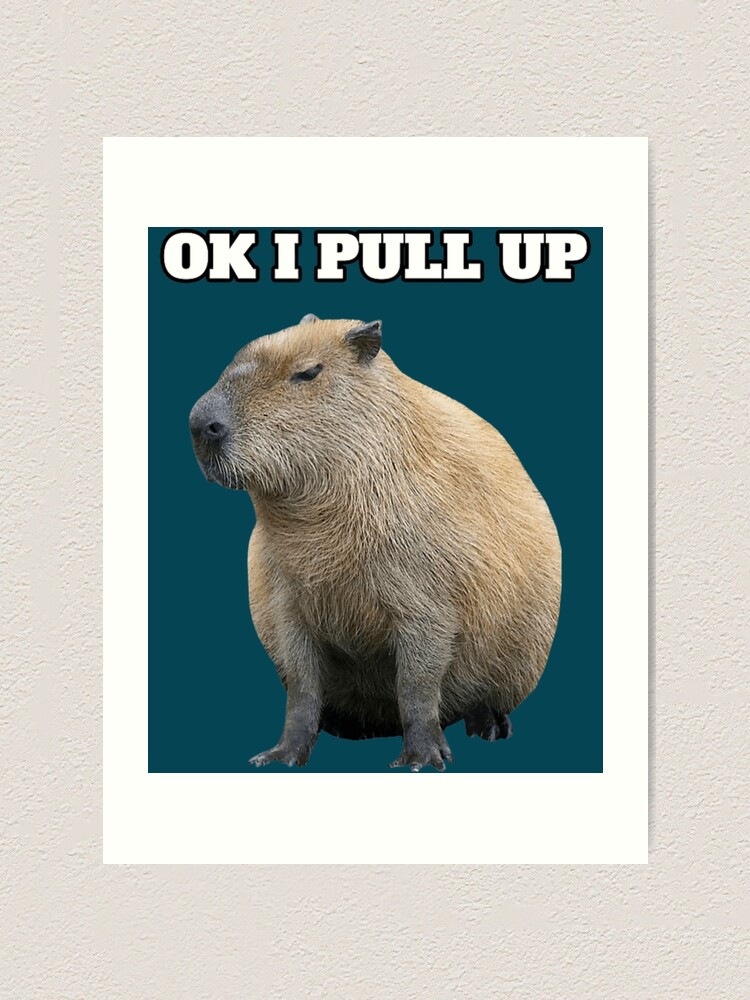 "Ok I Pull Up Capybara " Art Print for Sale by Custom4AllArt | Redbubble