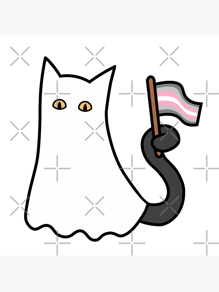 Demigirl Pride Ghost Cat With Pride Flag Poster For Sale By Lunyssa
