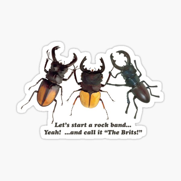 "Picture of 3 beetles: Let's start a rock band... Yeah! ... and call it ...