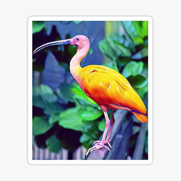 "Scarlet ibis" Sticker for Sale by MagiLand | Redbubble
