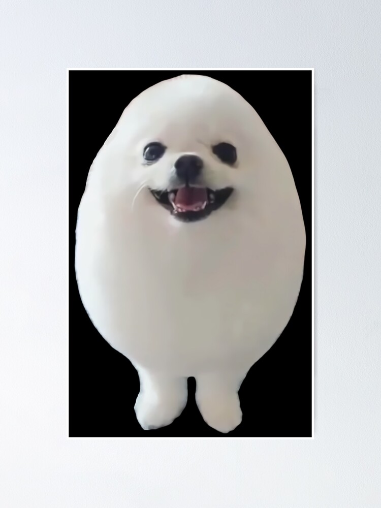 "EGGDOG Meme (Egg Dog Cute Pomeranian)" Poster for Sale by fomodesigns ...