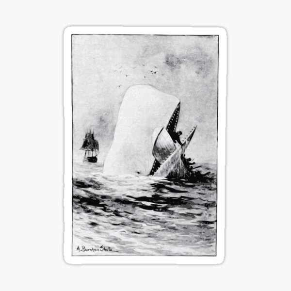 "Vintage Moby Dick attacking a ship illustration" Sticker for Sale by ...