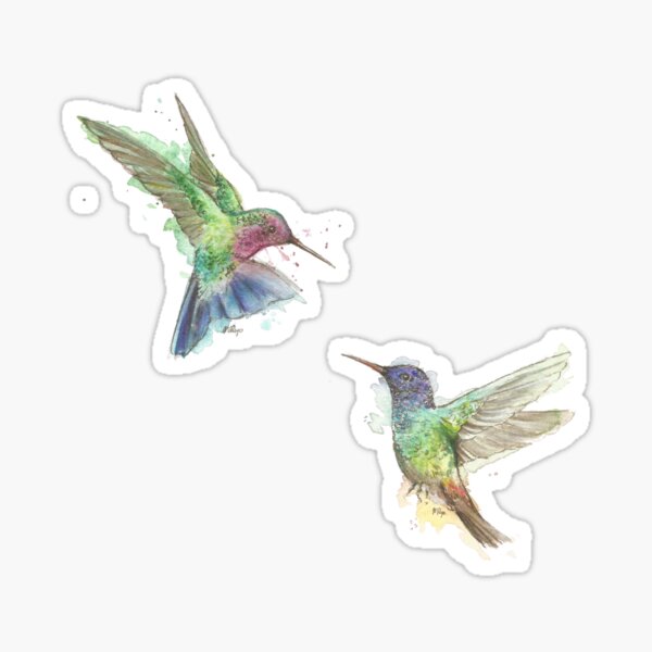 "Two flying Hummingbirds" Sticker for Sale by Printblisshop | Redbubble