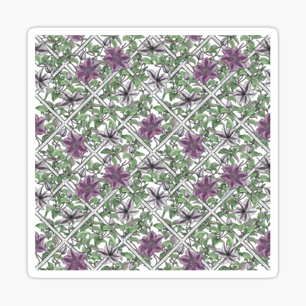 "Clematis" Sticker for Sale by margo-k | Redbubble
