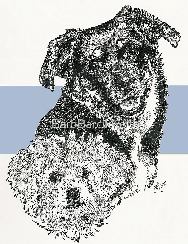 "Peke-A-Pin Father & Son" by BarbBarcikKeith | Redbubble