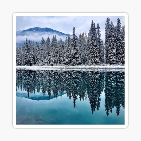 "Reflection " Sticker for Sale by braerolfe | Redbubble