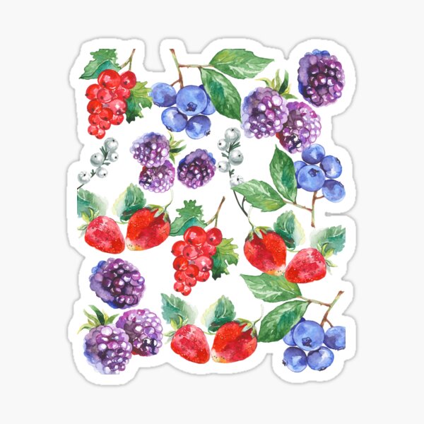 "Berries" Sticker for Sale by Lifeofyven | Redbubble
