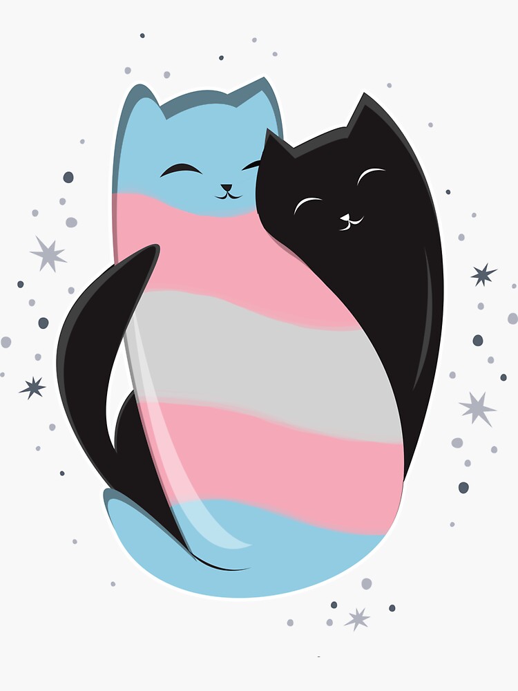 "Transgender Cat LGBT Pride Flag" Sticker for Sale by Psitta | Redbubble