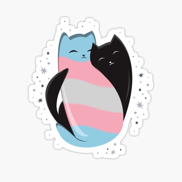 "Transgender Cat LGBT Pride Flag" Sticker for Sale by Psitta | Redbubble