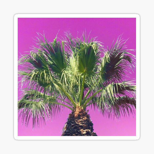 "Palm Tree Artistic Photo In Bright Pink Sky" Sticker for Sale by DEC02 ...