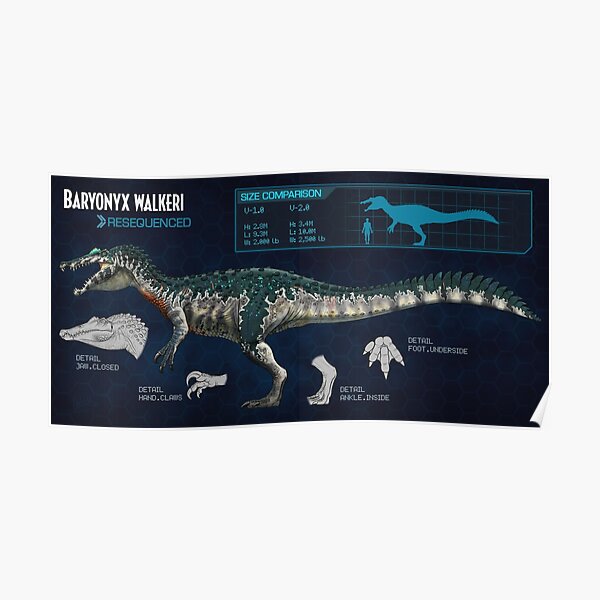 "Baryonyx - Resequenced" Poster for Sale by PaperPangea | Redbubble