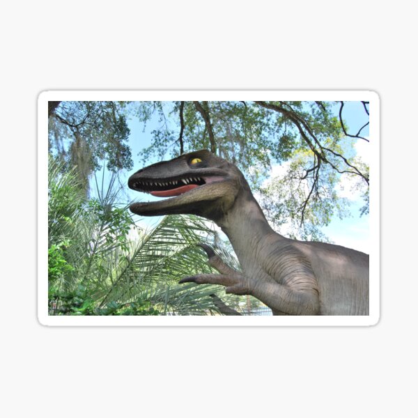 "Dino side eye aka Dinosaur vision" Sticker by TiffanyCSteinke | Redbubble