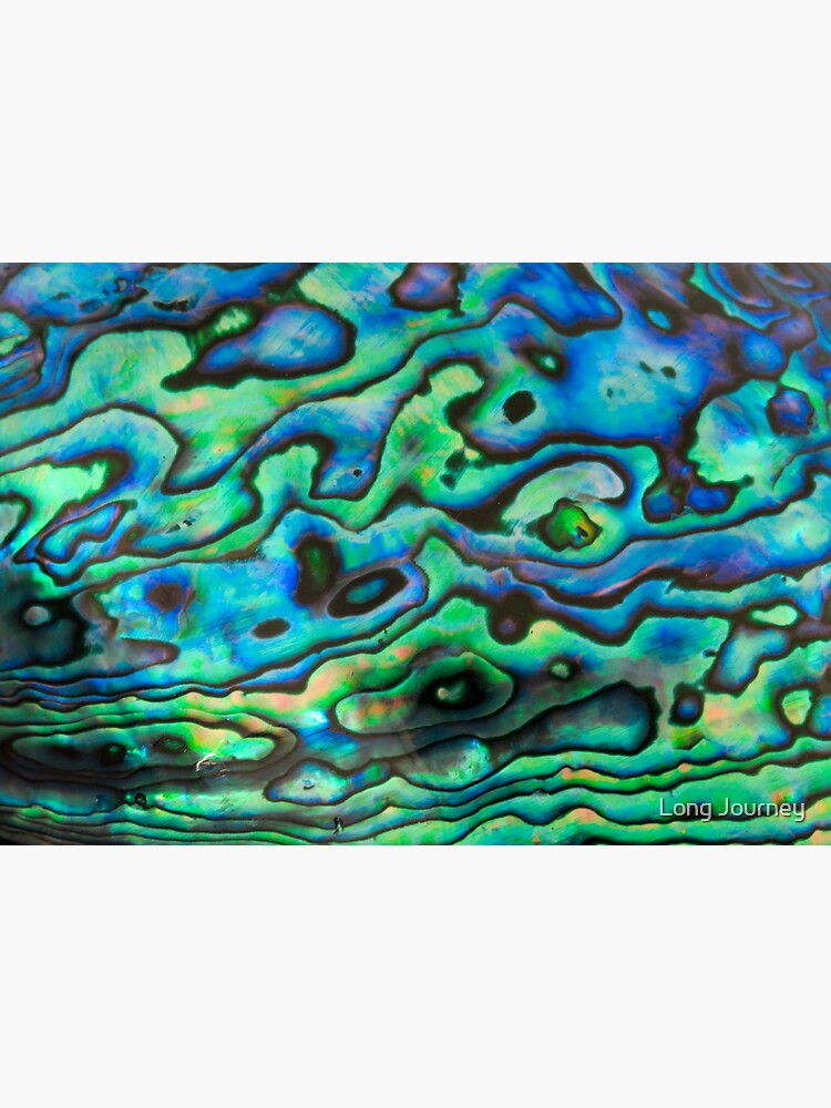 "Paua abalone blue green shell" Sticker for Sale by Lakowatz | Redbubble