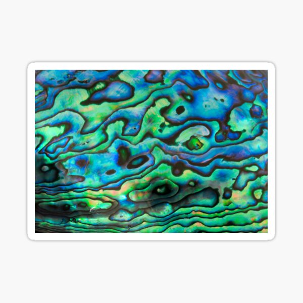 "Paua abalone blue green shell" Sticker for Sale by Lakowatz | Redbubble