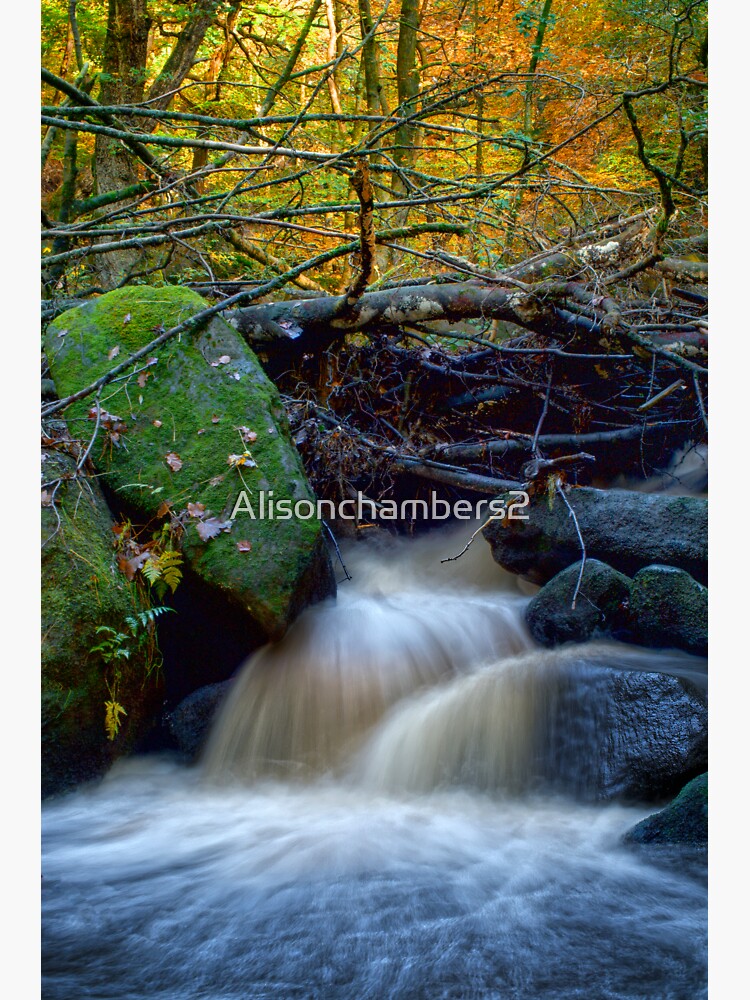 "Padley Gorge Waterfall" Sticker for Sale by Alisonchambers2 | Redbubble