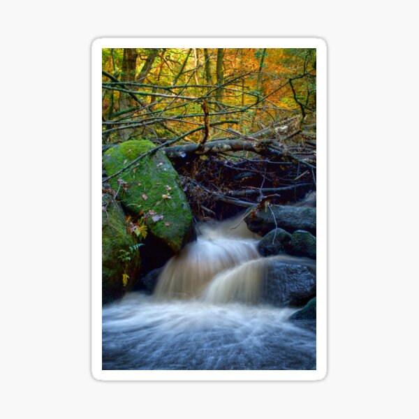 "Padley Gorge Waterfall" Sticker for Sale by Alisonchambers2 | Redbubble