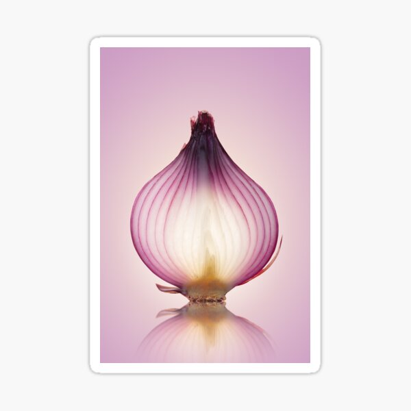 "Red Onion Translucent layers" Sticker for Sale by johanswanepoel ...