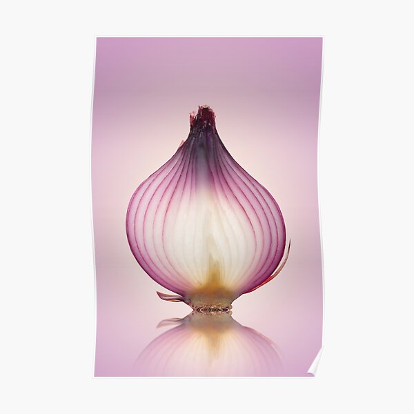 "Red Onion Translucent layers" Poster for Sale by johanswanepoel ...