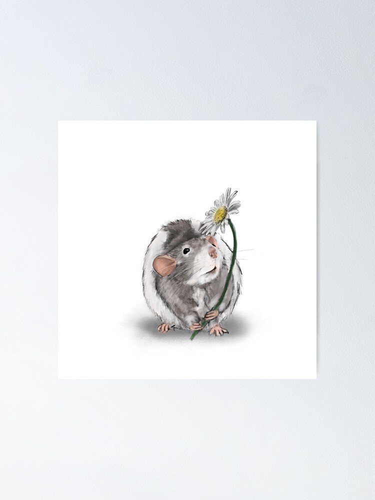 "A Rat and a Daisy" Poster for Sale by Doodle-Pip | Redbubble