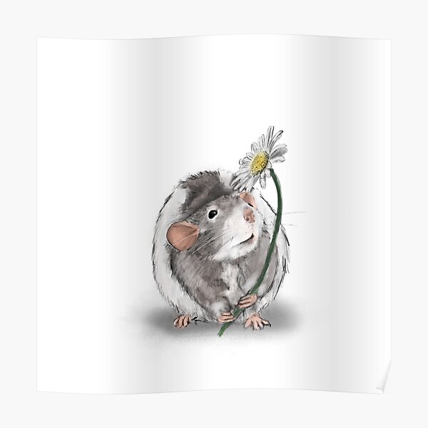 "A Rat and a Daisy" Poster for Sale by Doodle-Pip | Redbubble