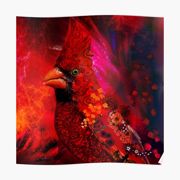 "red cardinal bird" Poster for Sale by clarazen | Redbubble