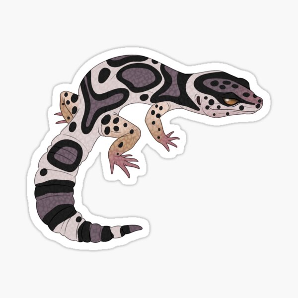 "Leopard gecko - TUG Snow" Sticker for Sale by porpoisefully | Redbubble