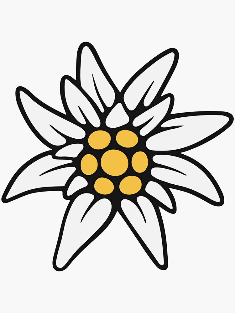 "Swiss Edelweiss flowers" Sticker for Sale by CorabicaArt | Redbubble