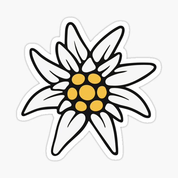 "Swiss Edelweiss flowers" Sticker for Sale by CorabicaArt | Redbubble