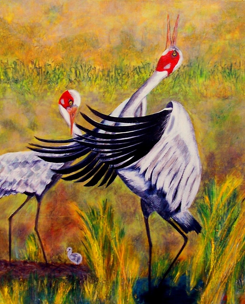 "Brolgas Courtship Dance" by Ciska | Redbubble