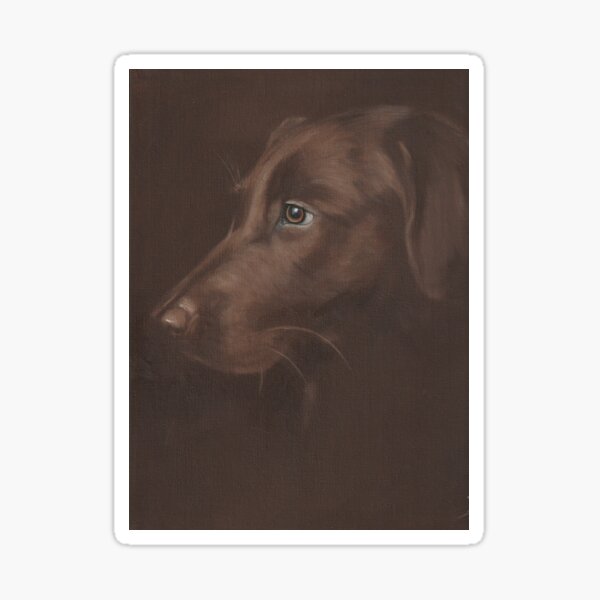 "Chocolate Labrador " Sticker for Sale by debbie-brannen | Redbubble