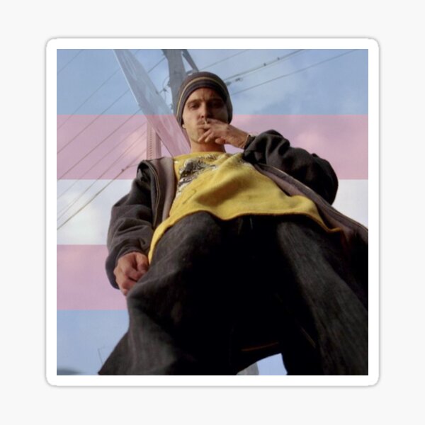 "Jesse Pinkman trans flag" Sticker for Sale by dauerstandby | Redbubble
